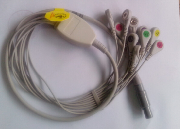 Biomedical 10 lead Holter cable, snap end, IEC